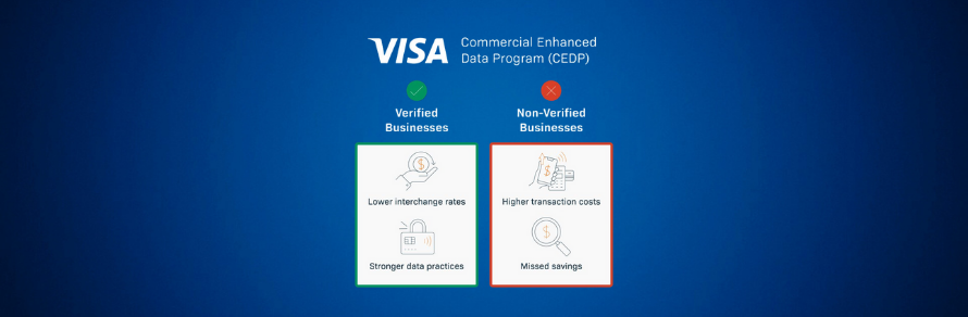 Understanding Visa’s Commercial Enhanced Data Program (CEDP) - Easy Pay ...